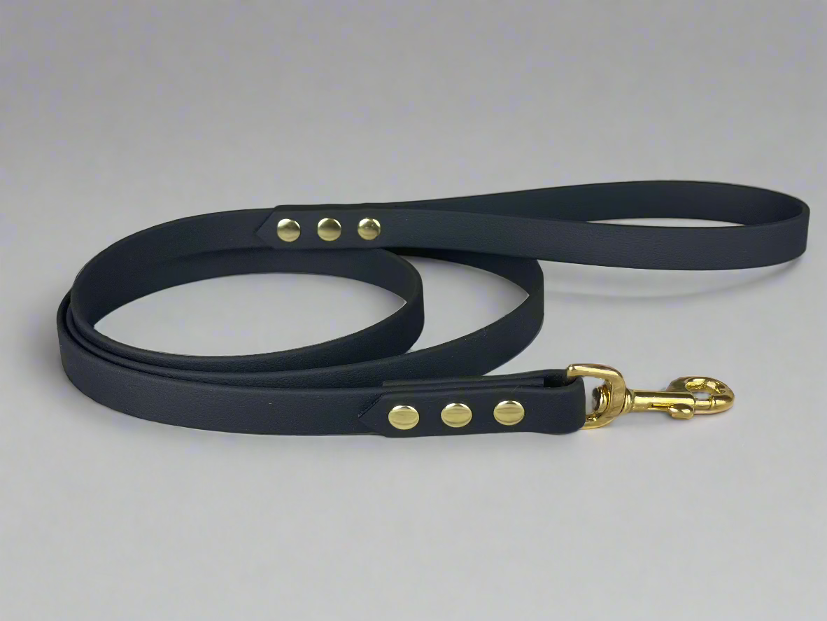 BioThane Lead – Chic Pup Co.